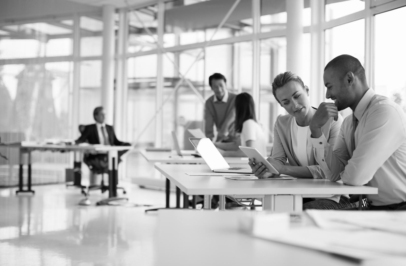 Natural Power Solutions - Power Management & Protection Products